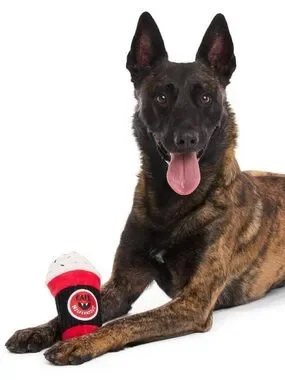 Bark | Dog | Bark Dog Squeak Toy Caf Plush Cup Toy | Poshmark